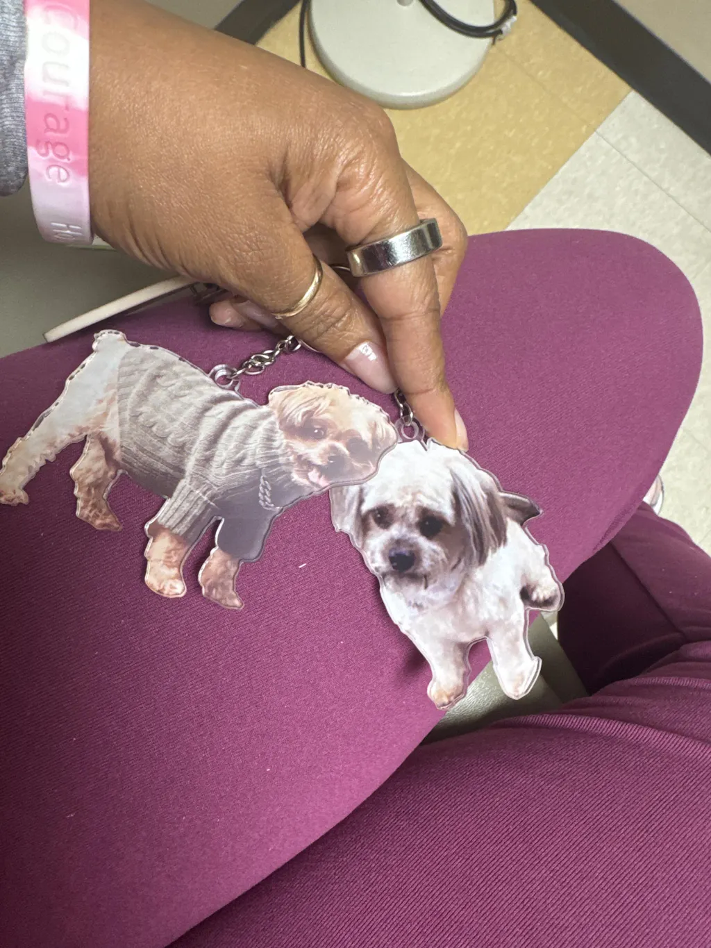 Pawfect House Reviews - Happy Customers
