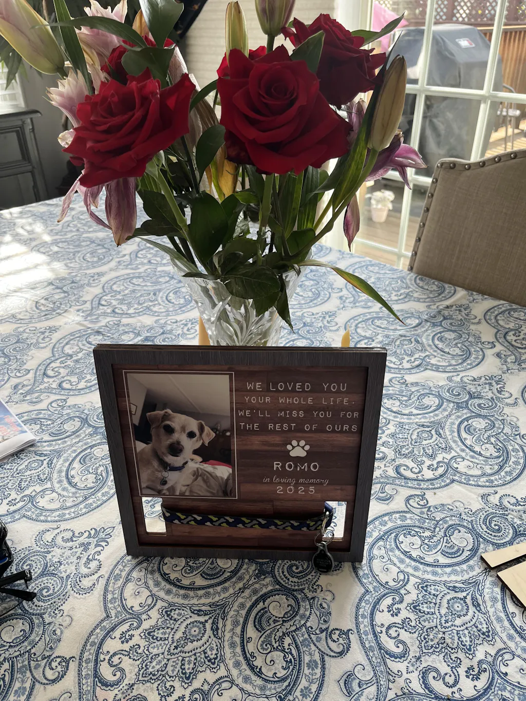 Pawfect House Reviews - Happy Customers
