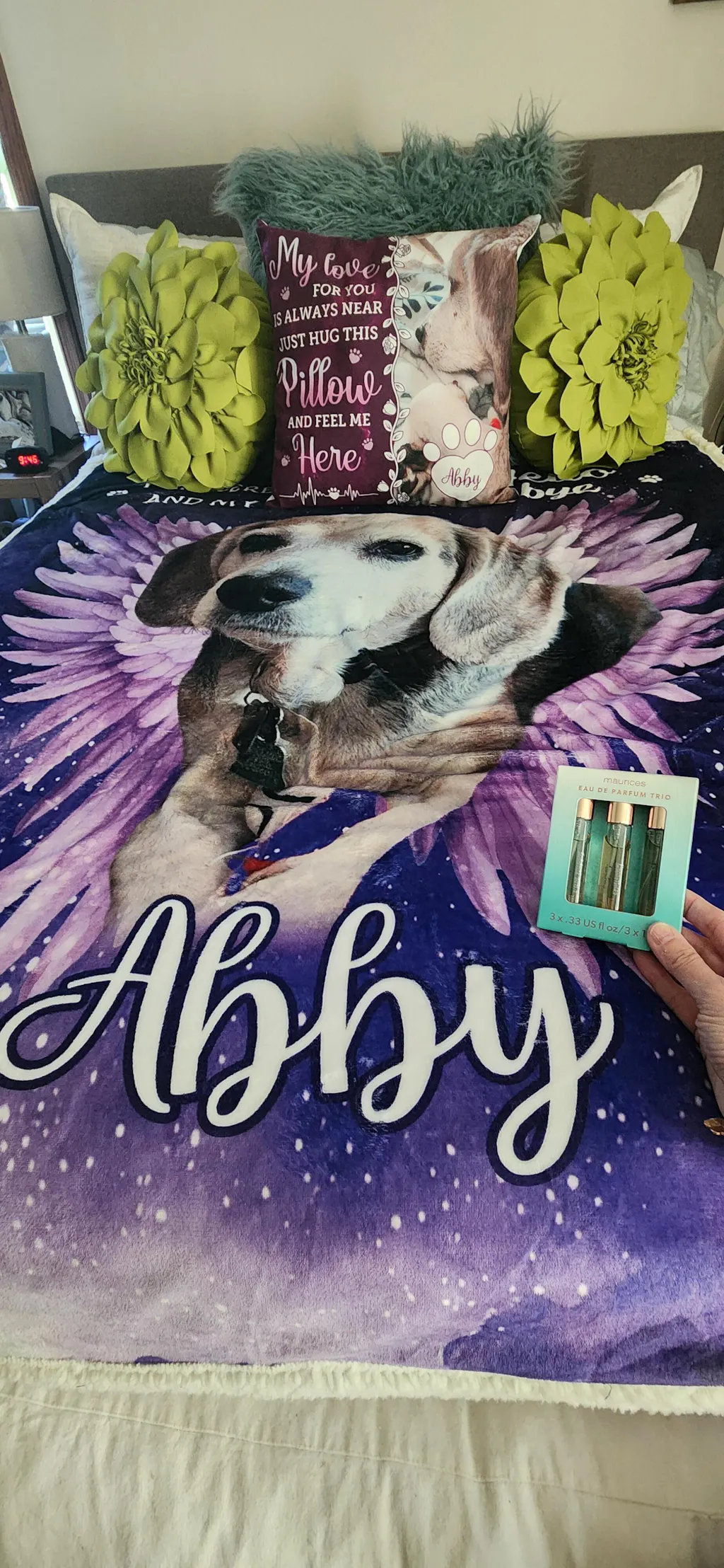 Pawfect House Reviews - Happy Customers