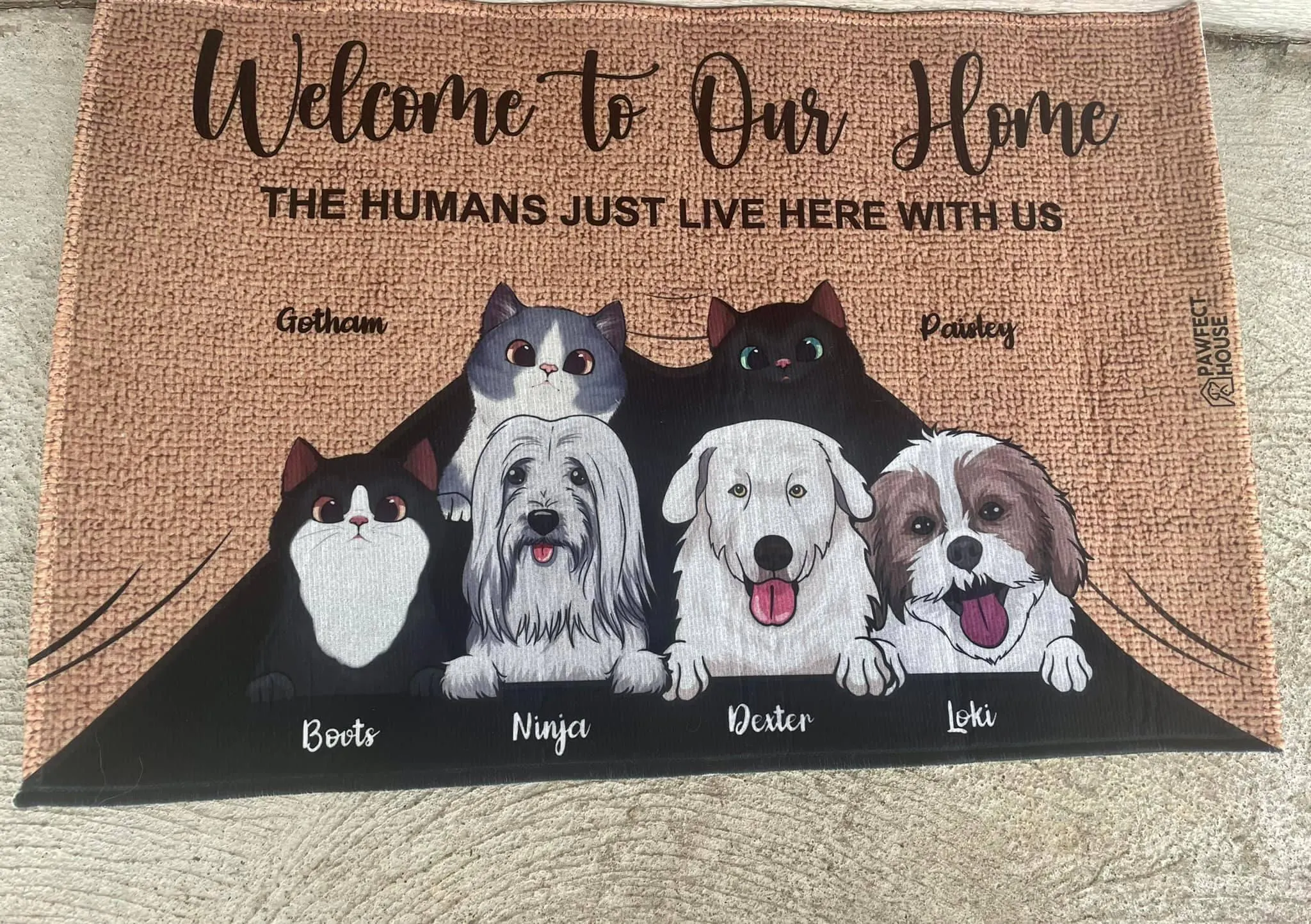 Pawfect House Reviews - Happy Customers