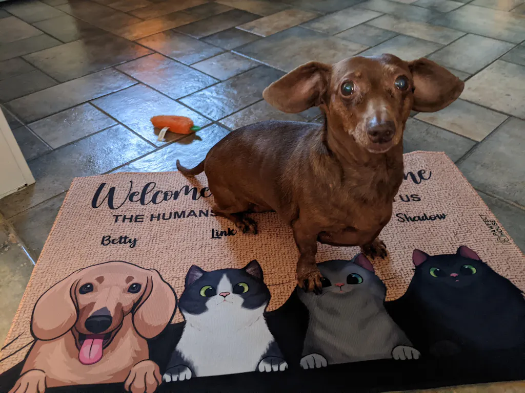 The Pawfect House - Unique Personalized Gifts for Pet Lovers