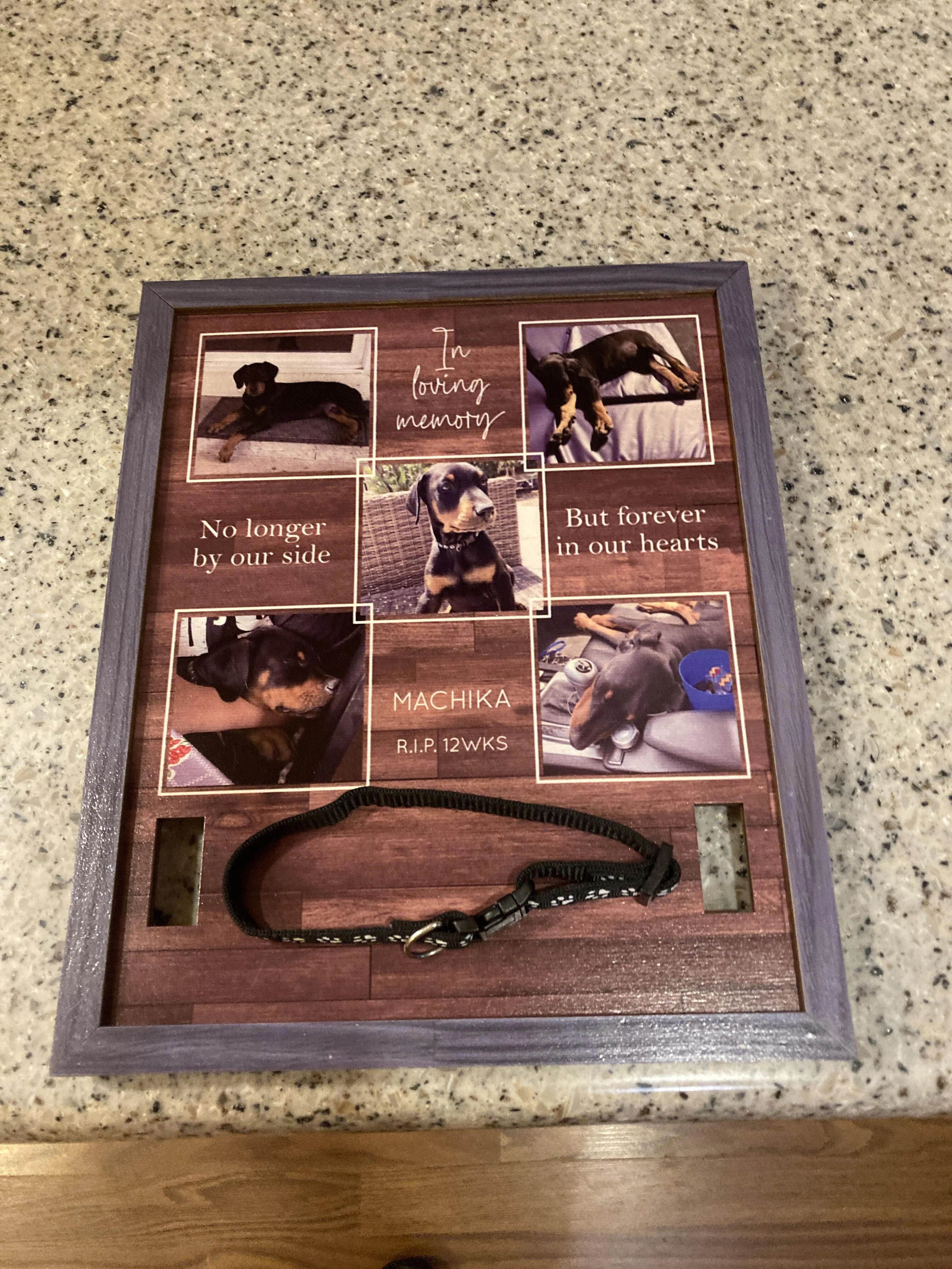 The Pawfect House - Unique Personalized Gifts for Pet Lovers