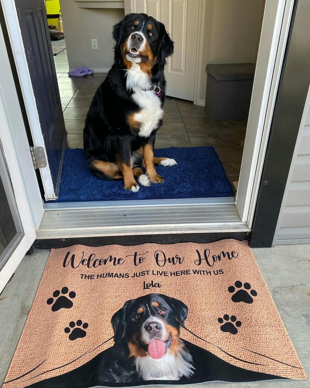 The Pawfect House - Unique Personalized Gifts for Pet Lovers
