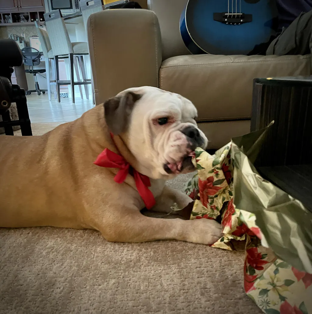 The Pawfect House - Unique Personalized Gifts for Pet Lovers