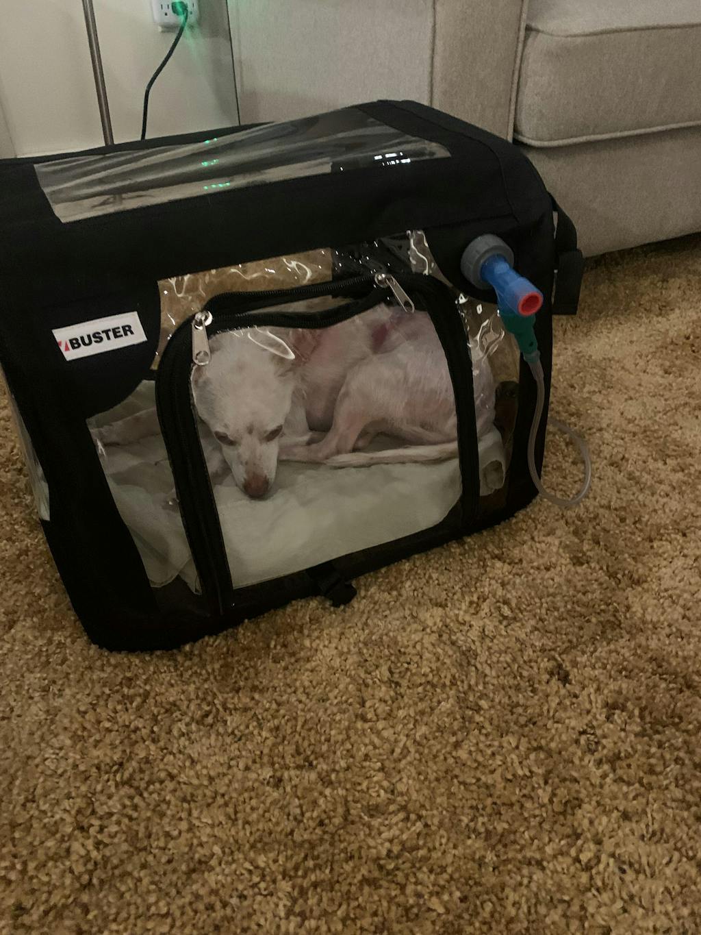 Extended Oxygen Therapy Bundle for Medium Pets, up to 25 lbs