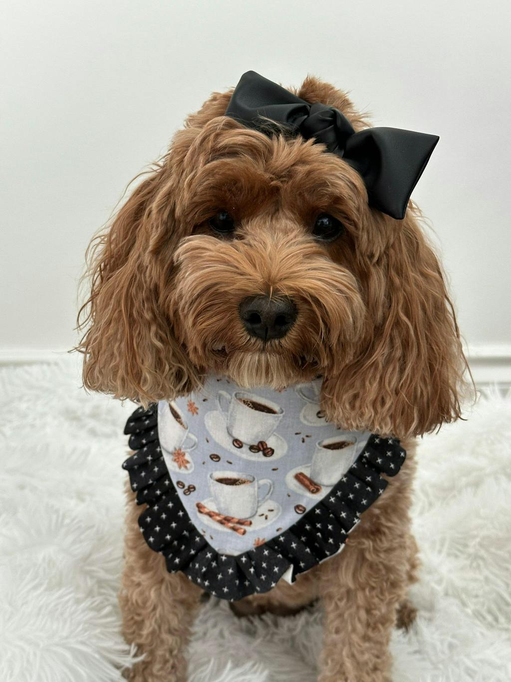 Gingerbread W/Ruffles Dog bandana – Paws With Style
