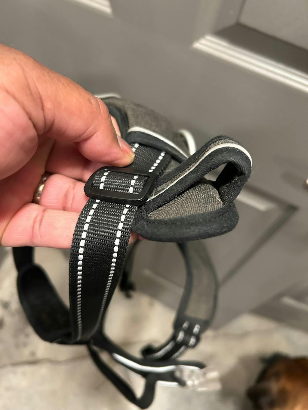 PawSafe® No Pull Dog Harness - No Choke and Prevents Pulling