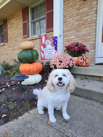 Personalized Garden Flag, Welcome To The Dog's House, Gift For Dog Lov ...
