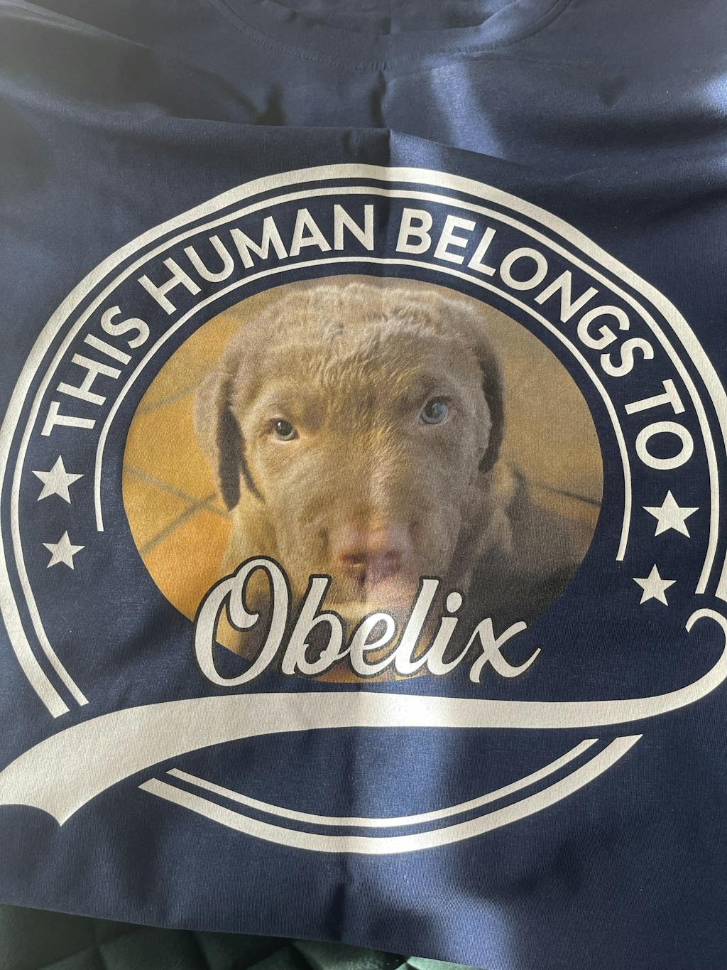 Human Belongs To Dog Version 2 - Personalized Custom Unisex T-shirt ...