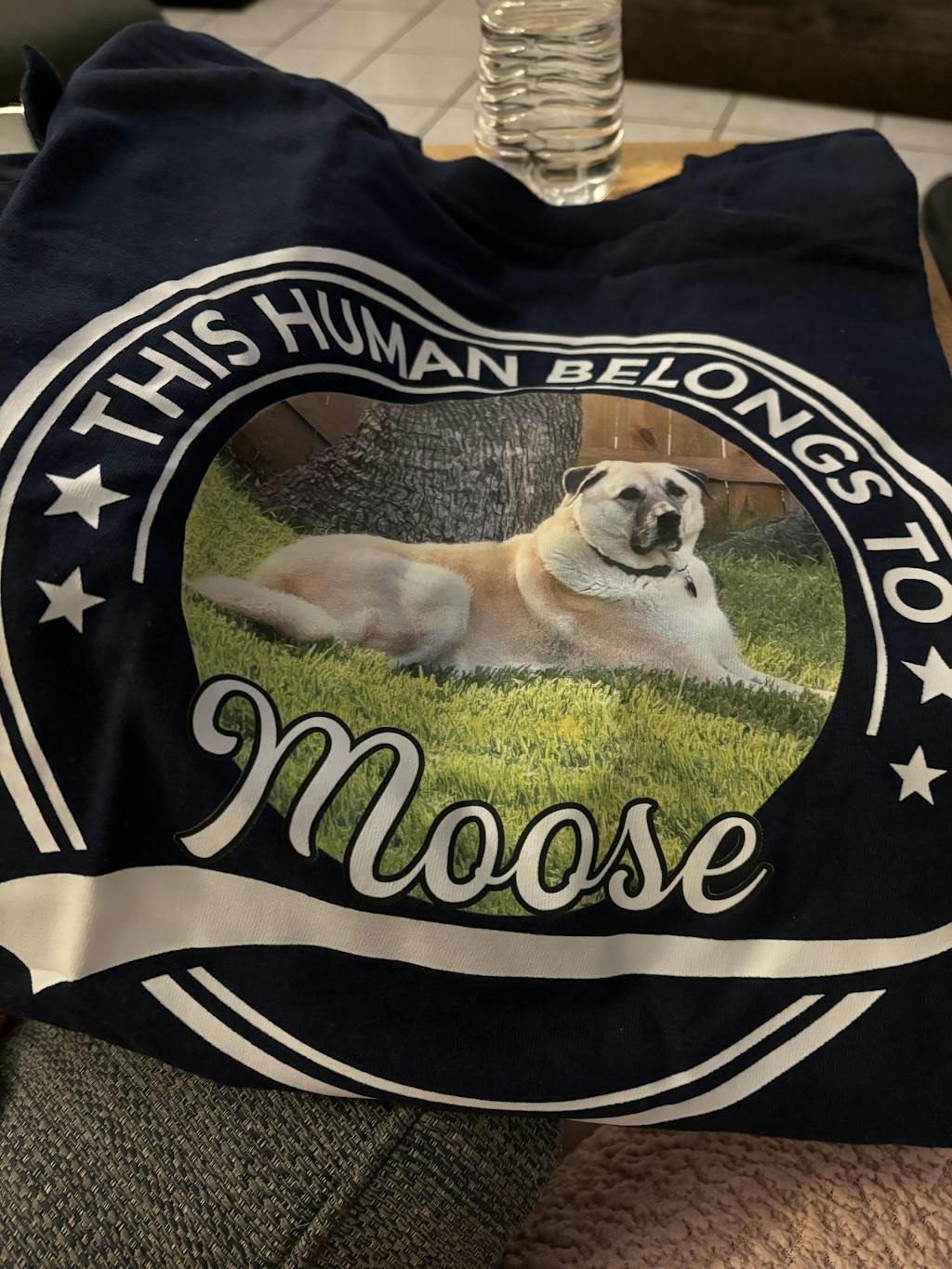 Human Belongs To Dog Version 2 - Personalized Custom Unisex T-shirt ...