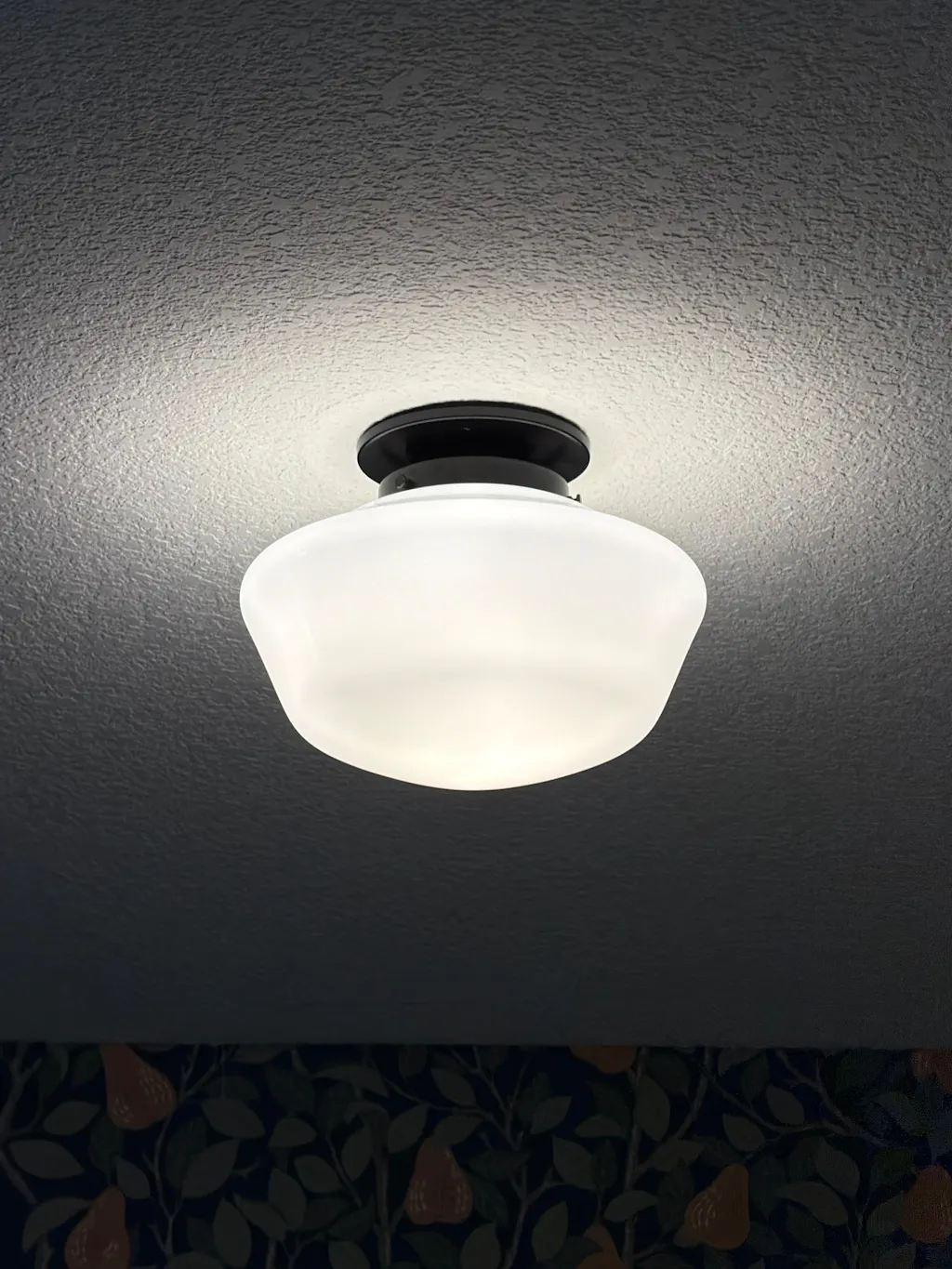 10IN OPAL SCHOOLHOUSE CEILING LIGHT MODEL No. 4339 - Peared Creation