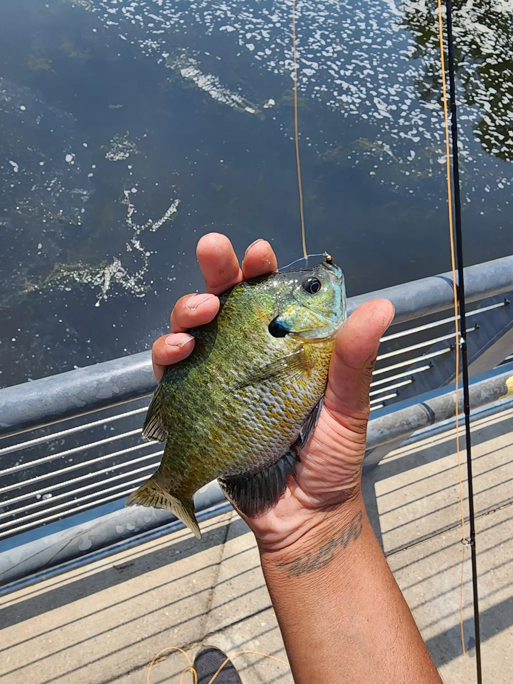 Welcome To Fly Fishing Kit Perfect Hatch