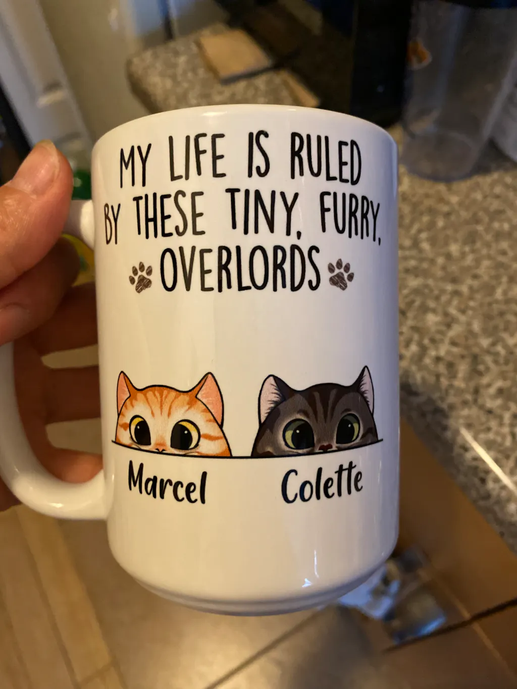 Furry Overlord Mugs, Funny Custom Coffee Mug, Personalized Gift for Ca ...