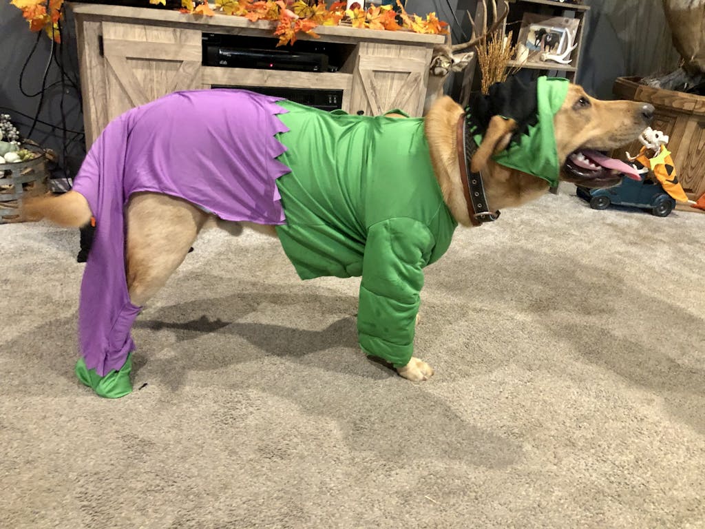 Big Dog The Hulk Pet Costume - Pet Costume Center