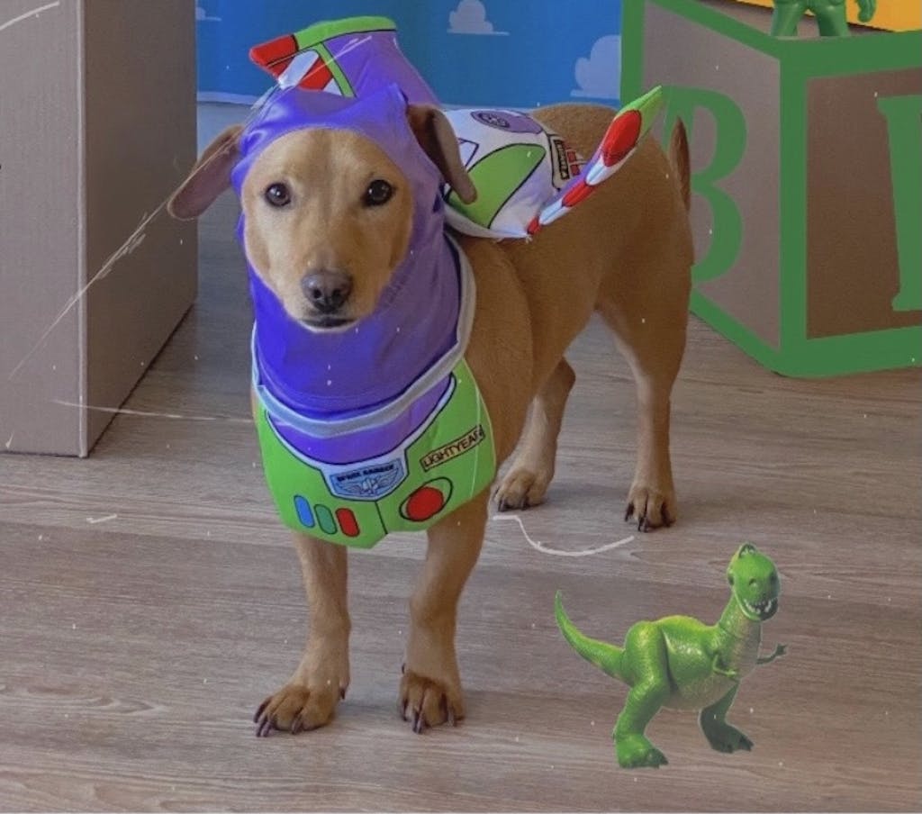 Buzz Lightyear Light Up Toy Story Pet Costume - Pet Costume Center