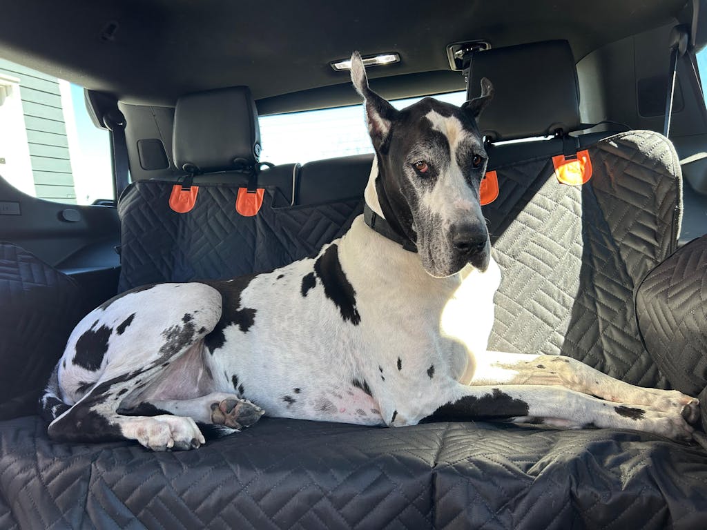 PawGuard Car Seat Dog Hammock (Heavy Duty Hard Bottom Design)- With Sa ...