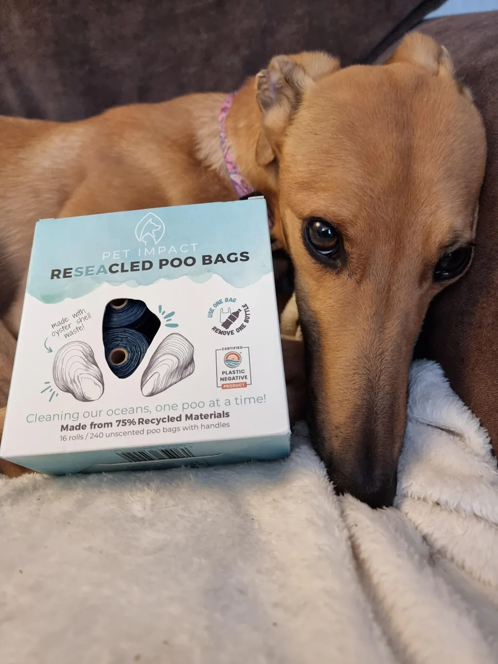 ReSEAcled Dog Poo Bags - Award Winning & Eco-Friendly – Pet Impact