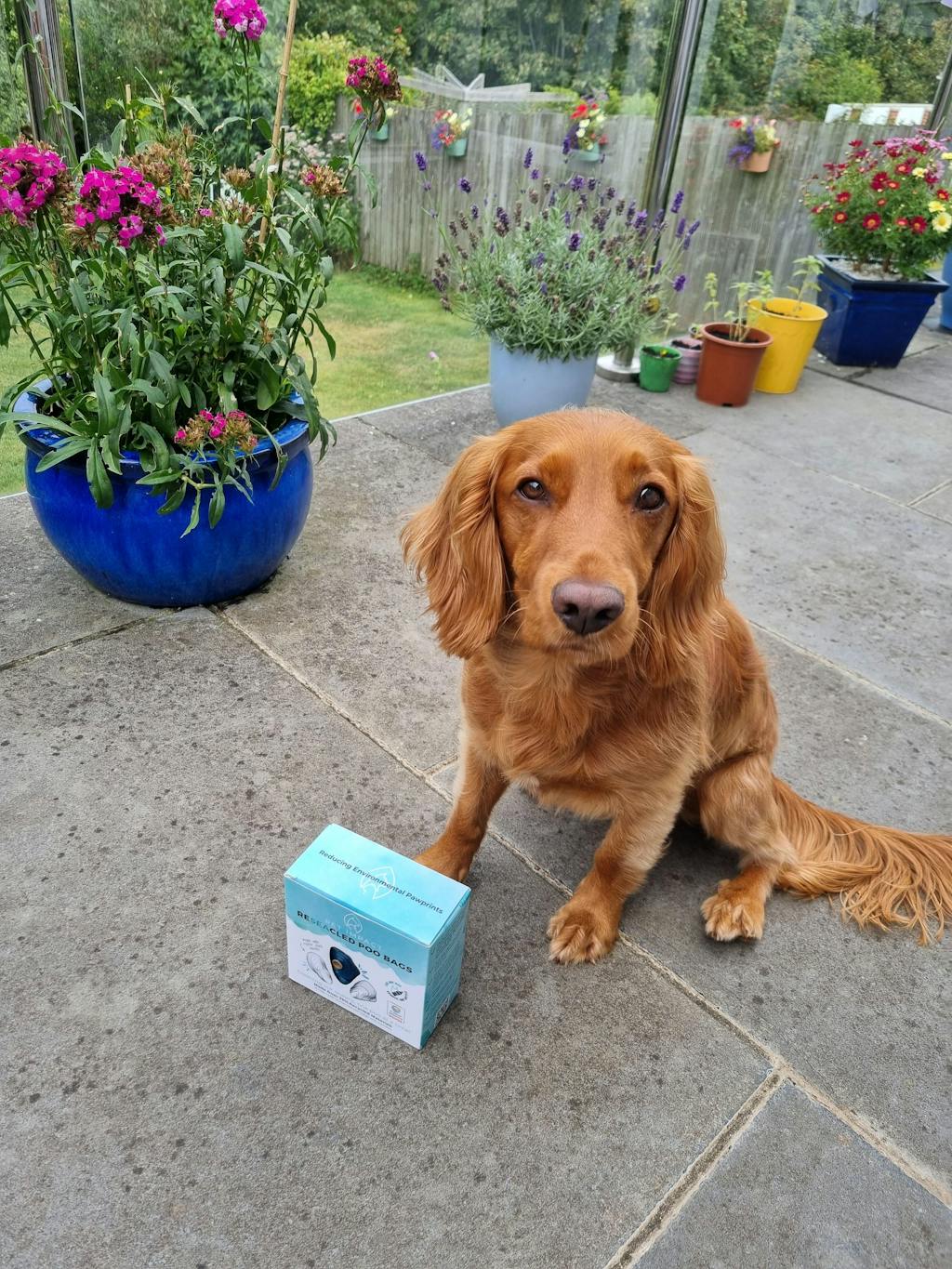 Shop ReSEAcled Poo Bags - 16 Rolls with Tie Handles (240) – Pet Impact