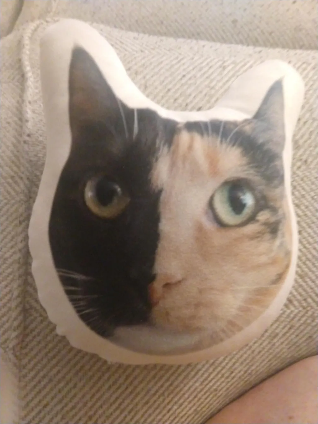 Custom Cat Face Pillow Pet Photo Pillow | Pet Pillow Custom
