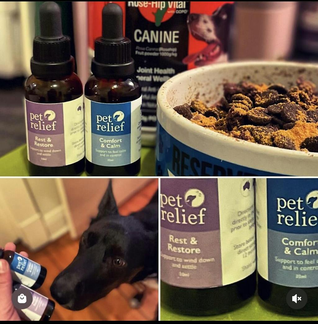 Calming Products for Dogs & Cats – Pet Relief Australia