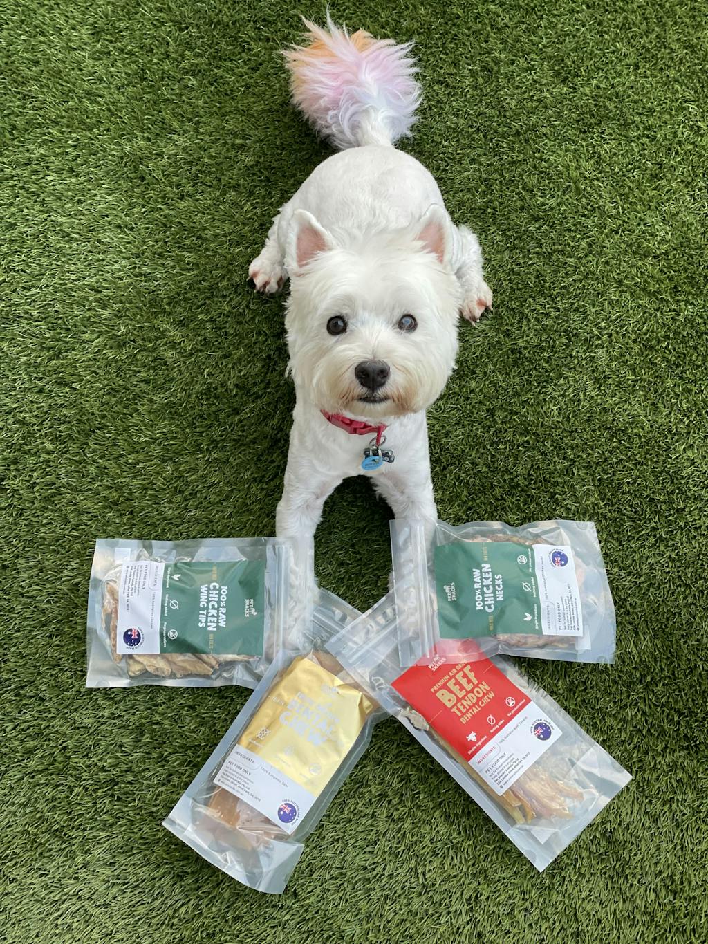 Pet Snacks Premium Variety Pack