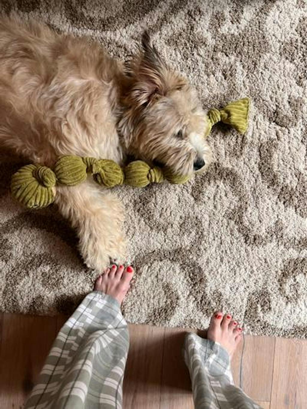 Petique Eco Feline Château Cat House – Petique, Inc.