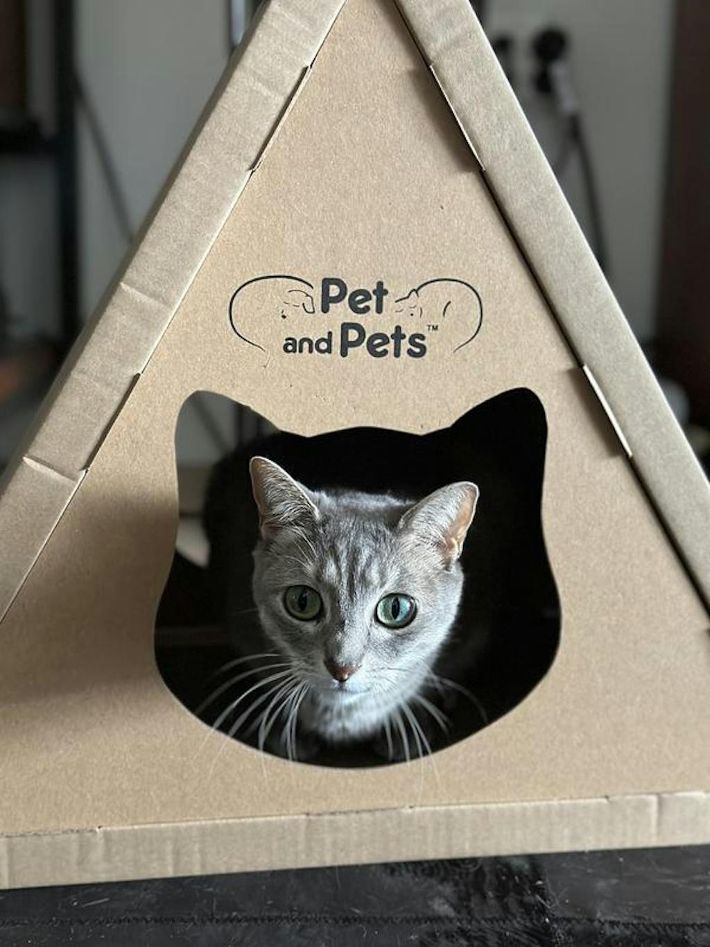 Petique Eco Feline Château Cat House – Petique, Inc.