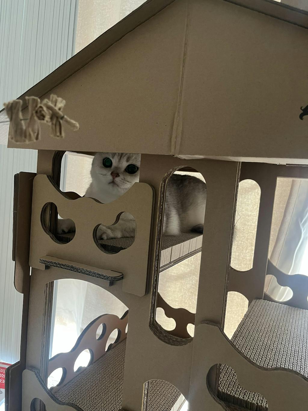 Petique Eco Feline Château Cat House – Petique, Inc.