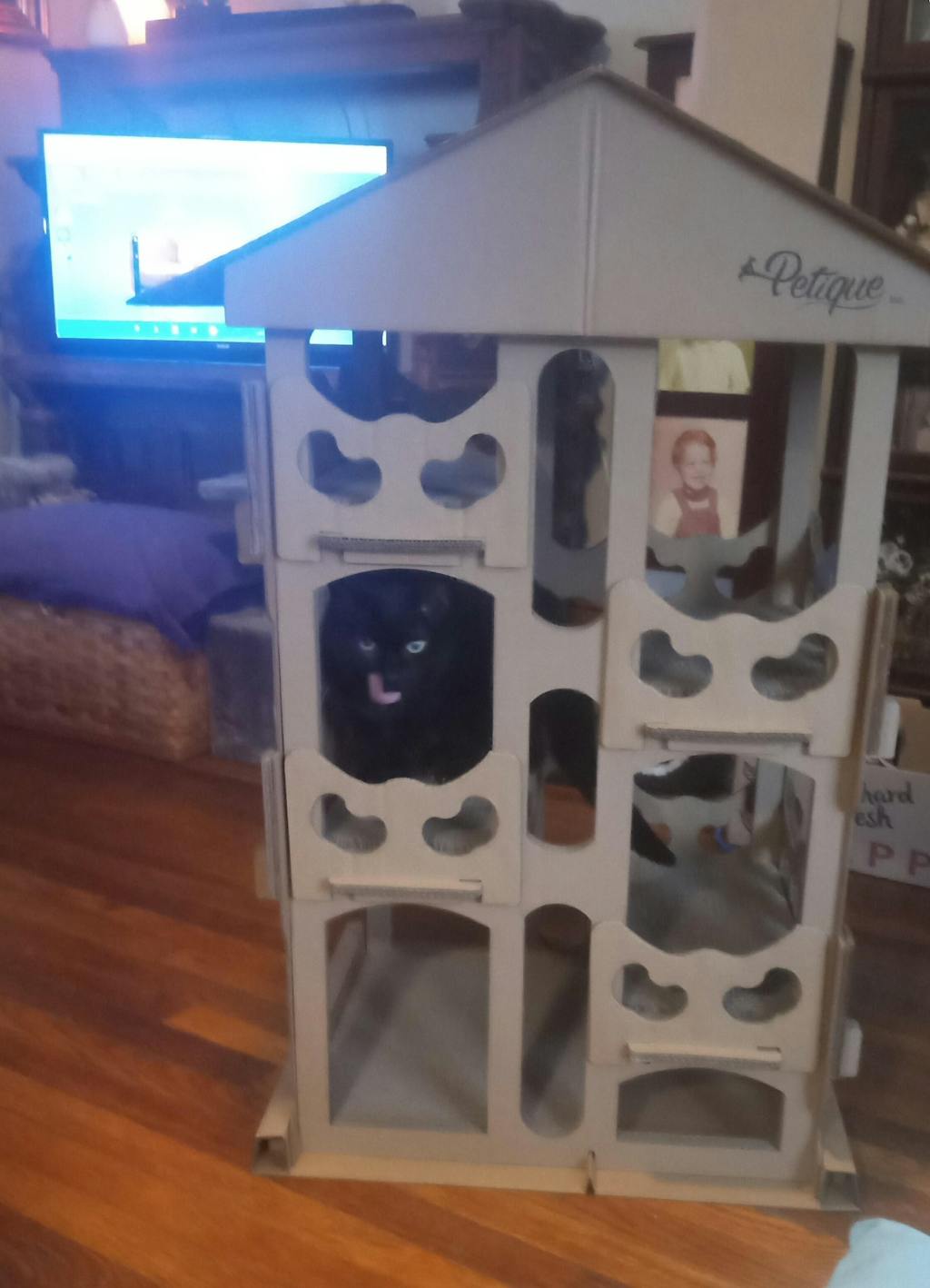 Petique Eco Feline Château Cat House – Petique, Inc.