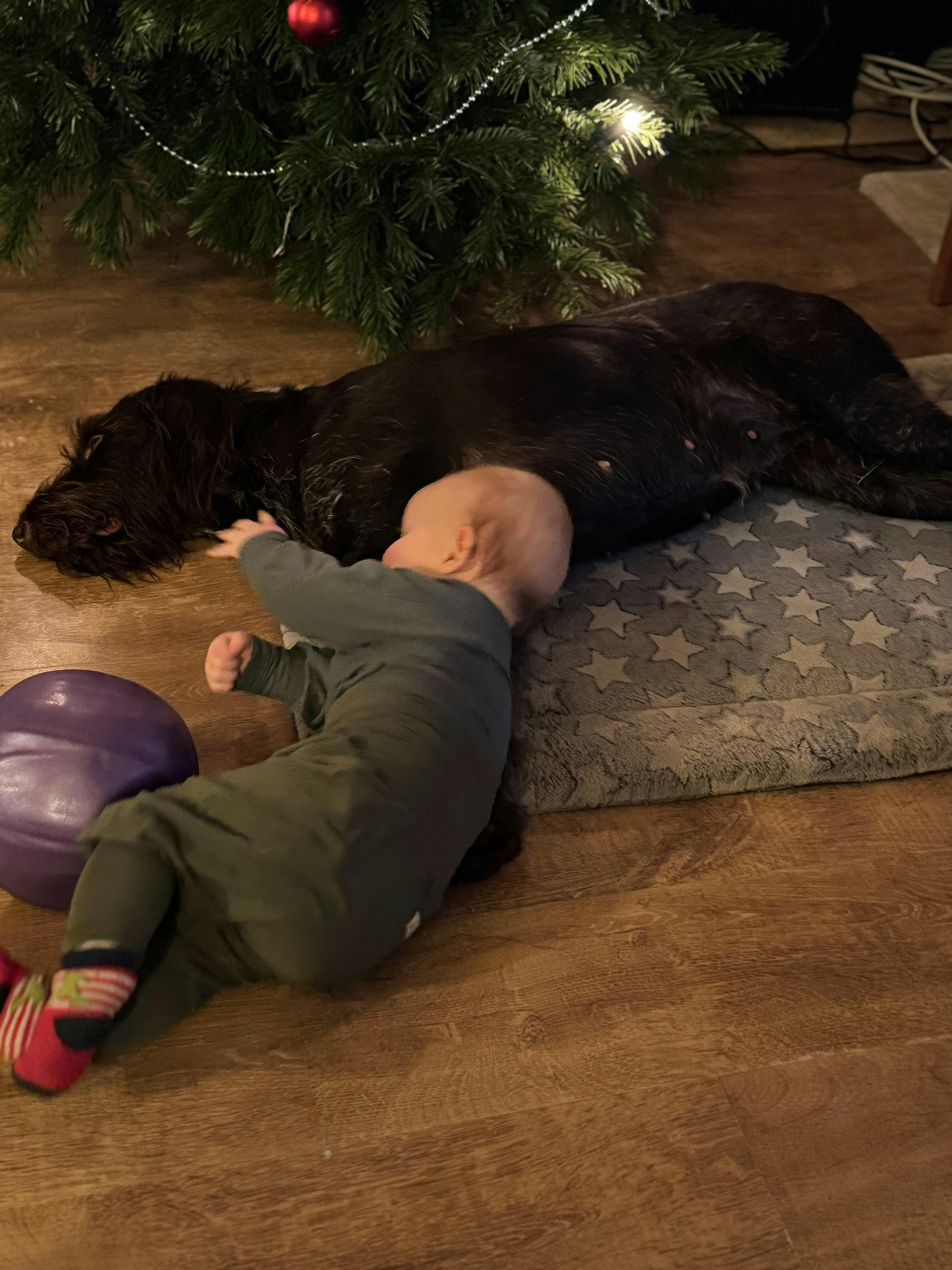 Babyknicker per neonati in misto cashmere color cannella – pregiati e ...