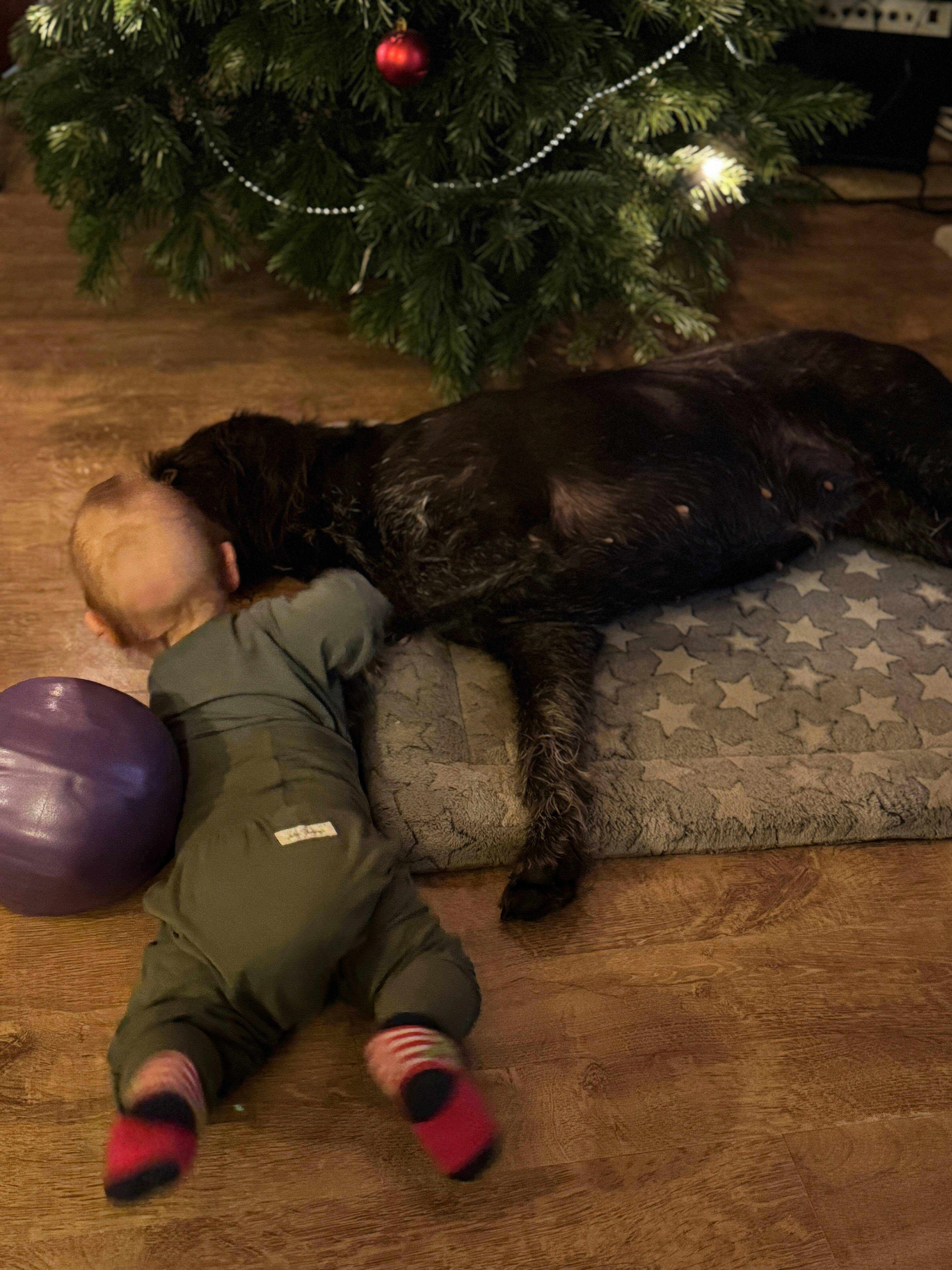 Cashmere mix baby knicker in avocado | warm & growing with you | petit ...