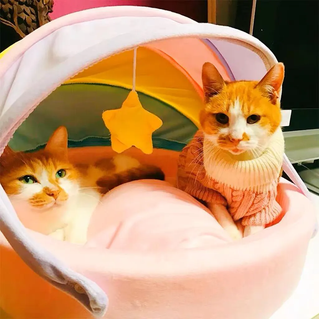 Little Princess Bassinet Cat Bed – Petites Paws