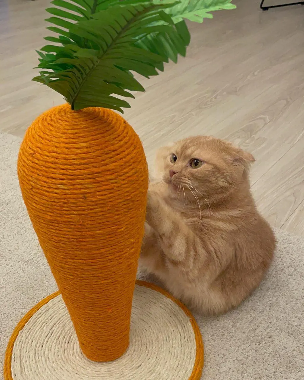 Clawsome Carrot Cat Scratching Post – Petites Paws