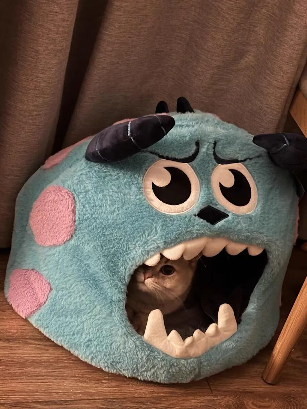 Disney Monsters Inc. Sulley Cat Bed – Petites Paws