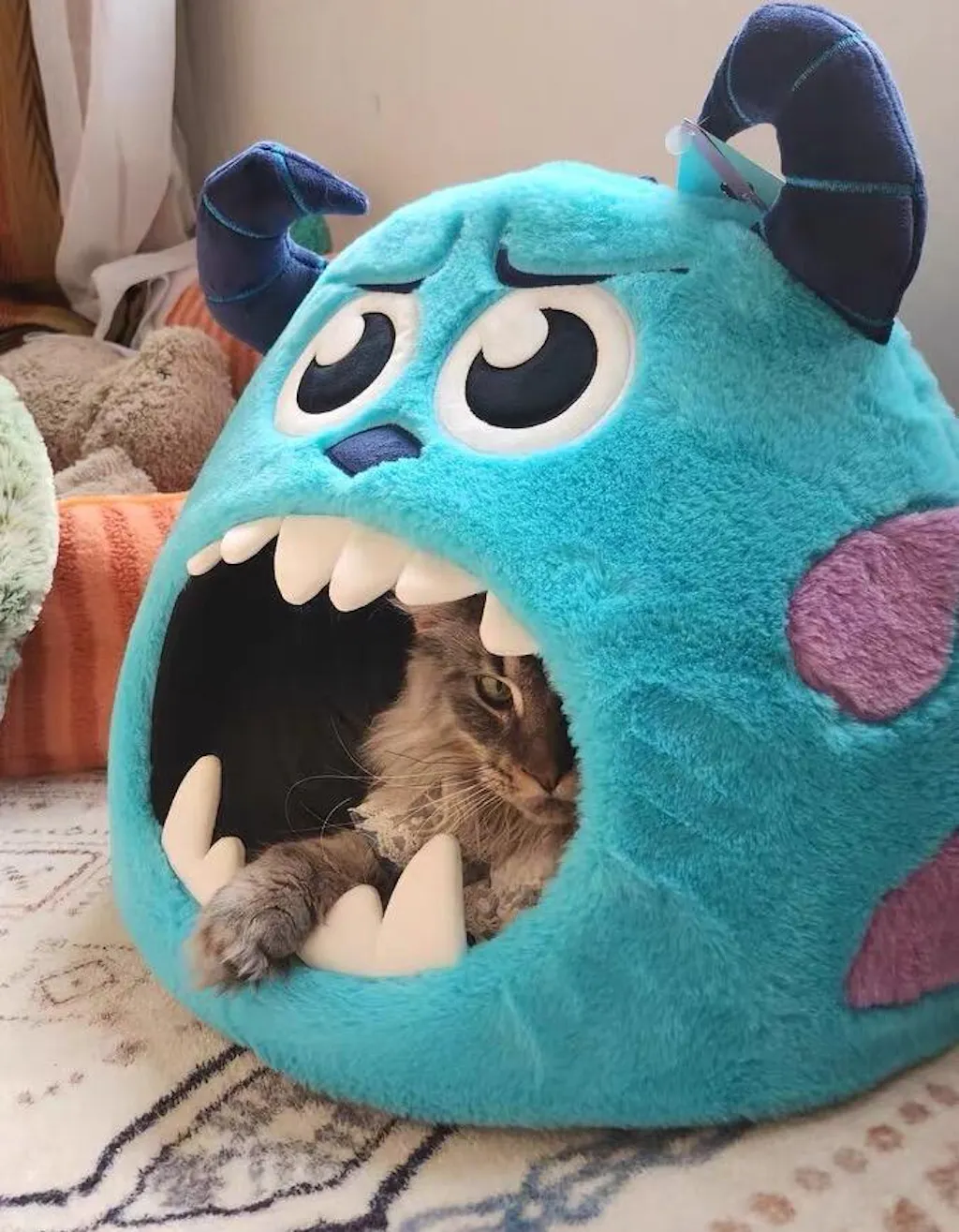 Disney Monsters Inc. Sulley Cat Bed – Petites Paws