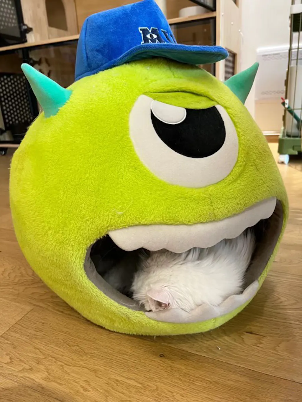 Disney Monsters Inc. Mike Wazowski Cat Bed – Petites Paws