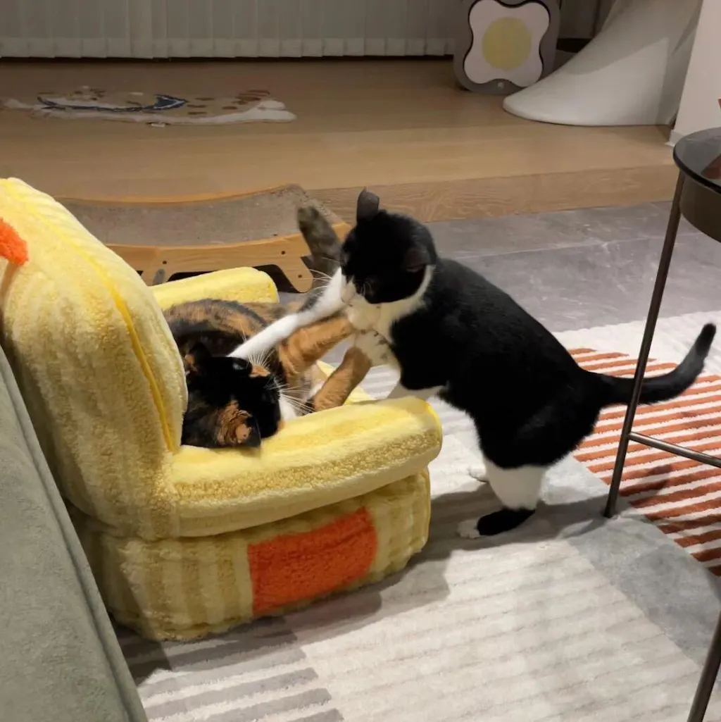 Playful Plush Lounge Cat Sofa Bed – Petites Paws