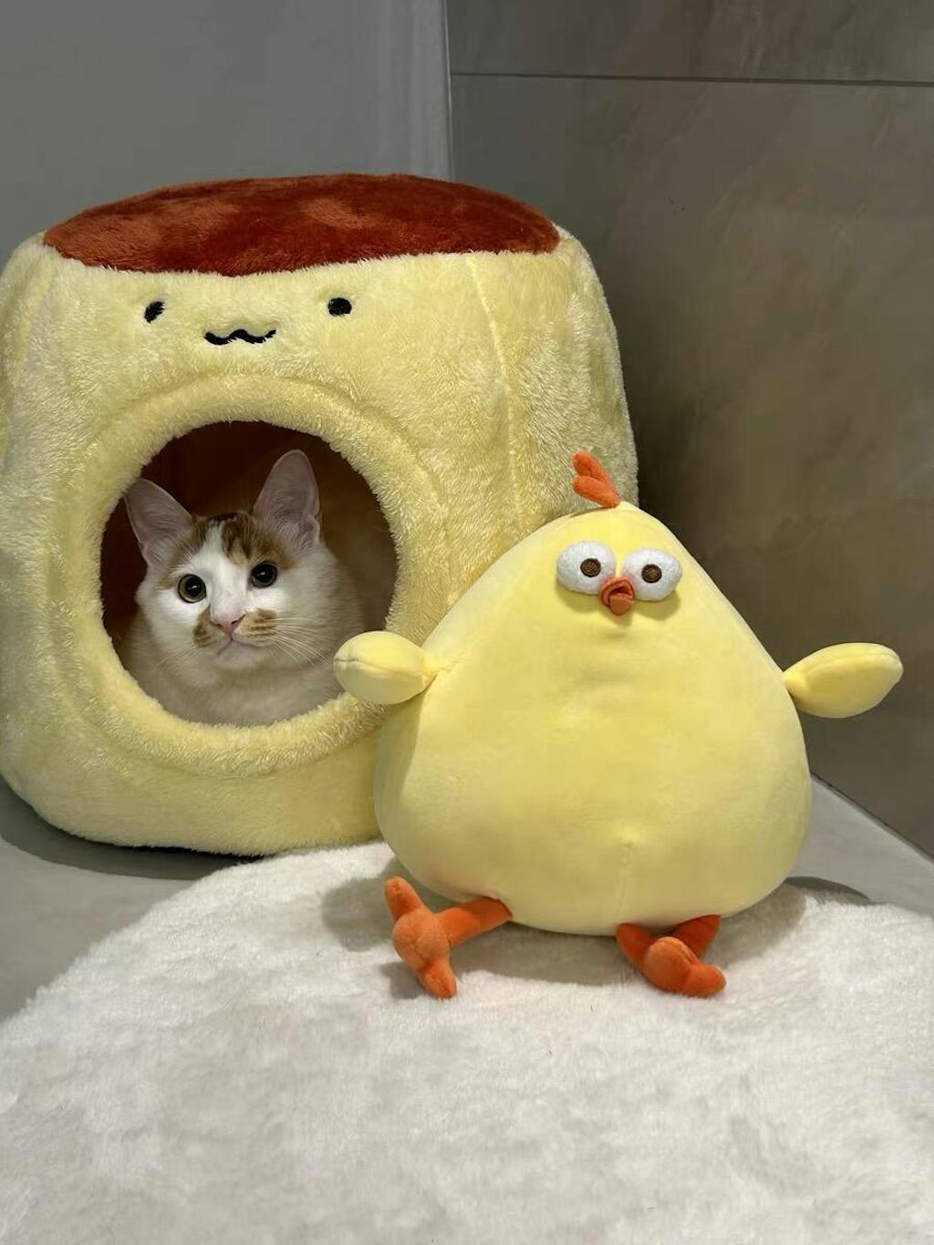 Japanese Pudding Cat Bed – Petites Paws