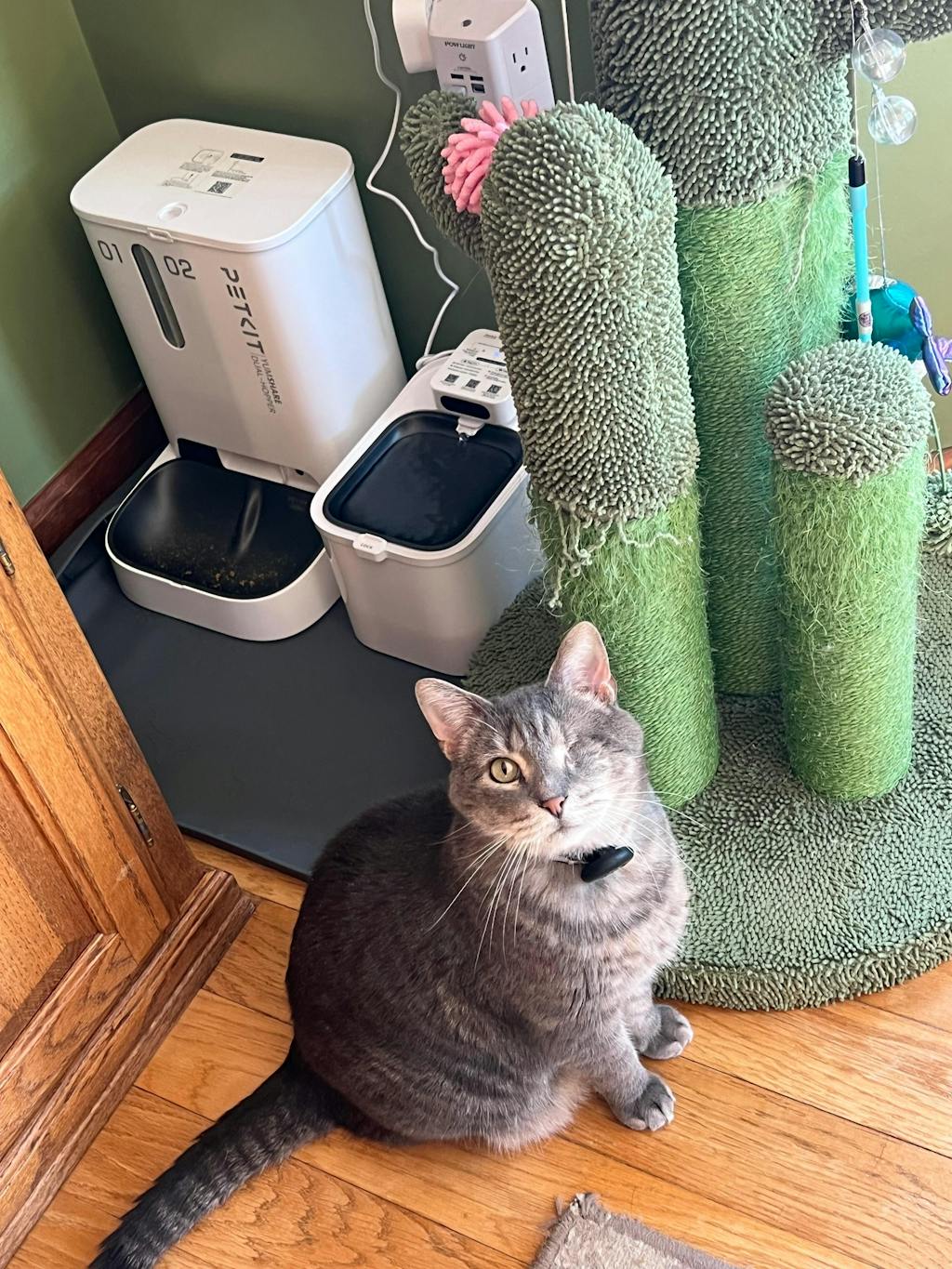 PETKIT EverSweet Max Cordless Smart Pet Drinking Fountain like faucet ...