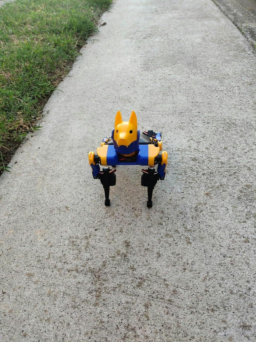 Petoi Bittle X Robot Dog