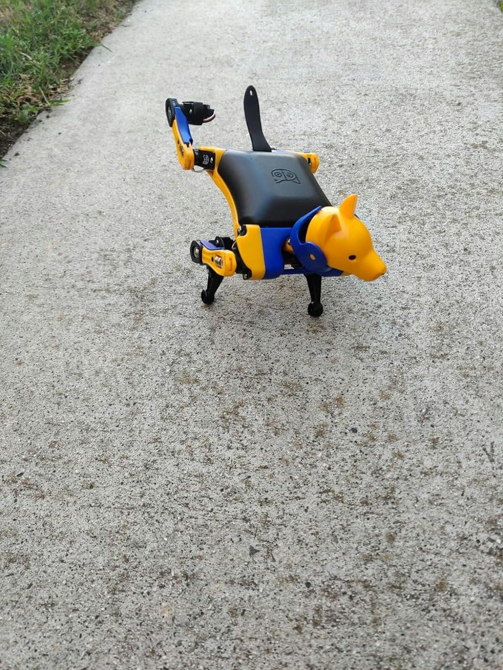 Petoi Bittle X Robot Dog