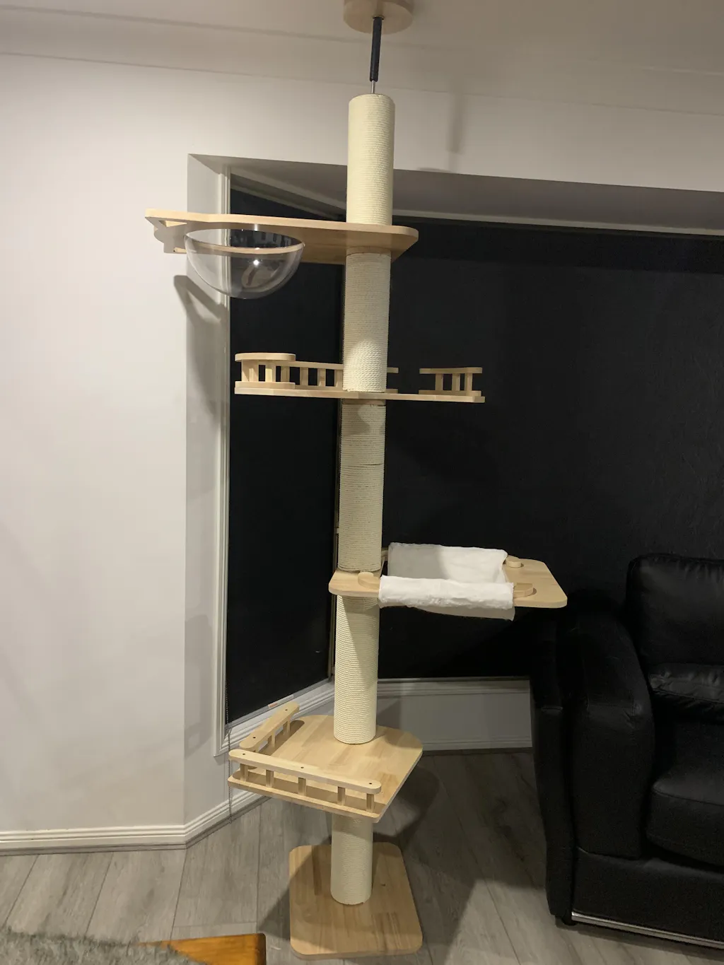 PETOMG Cat Perch, Cat Space Capsule, Cat Bed Furniture, Cat Wall Mount ...