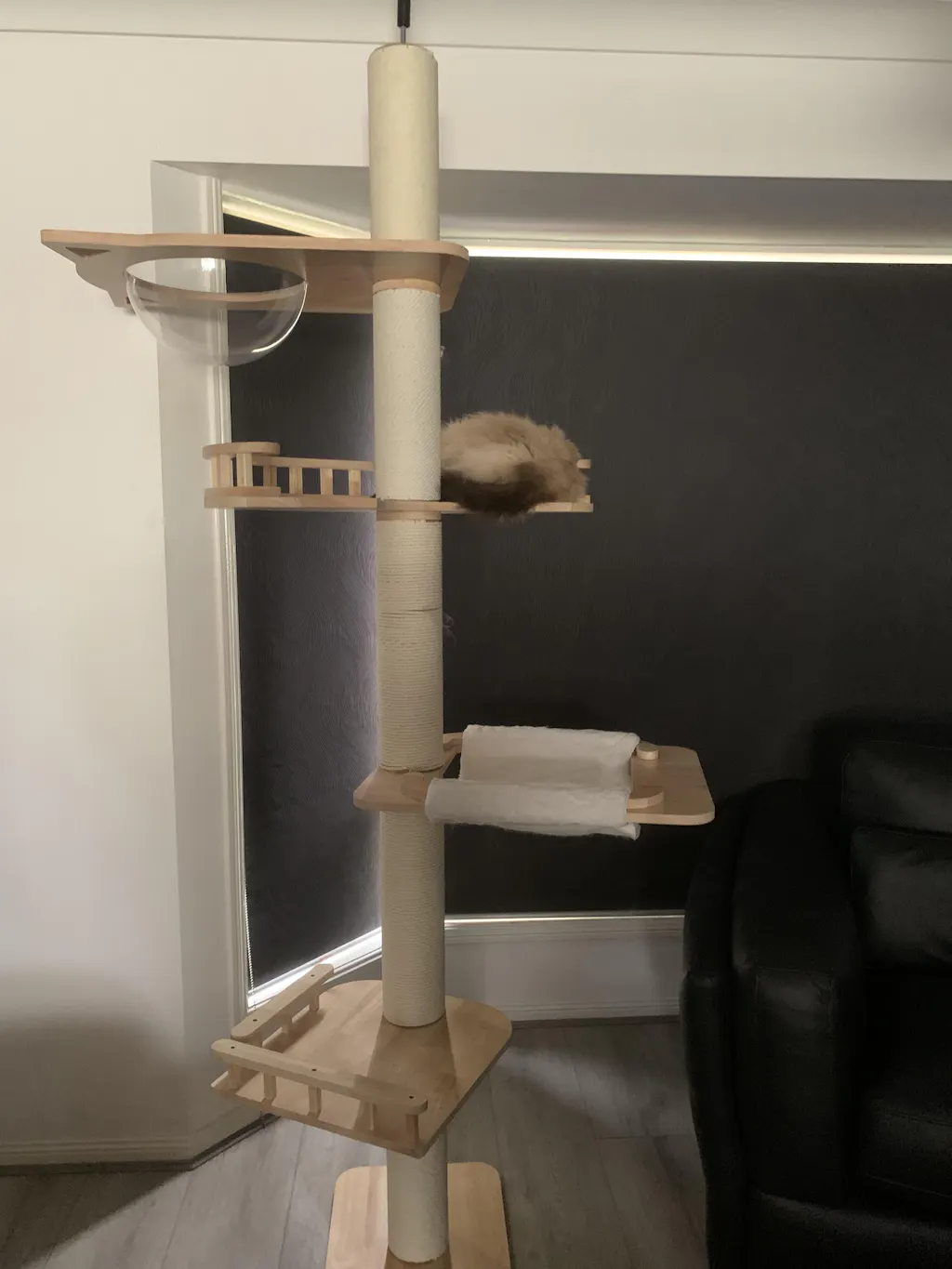 PETOMG Cat Perch, Cat Space Capsule, Cat Bed Furniture, Cat Wall Mount ...