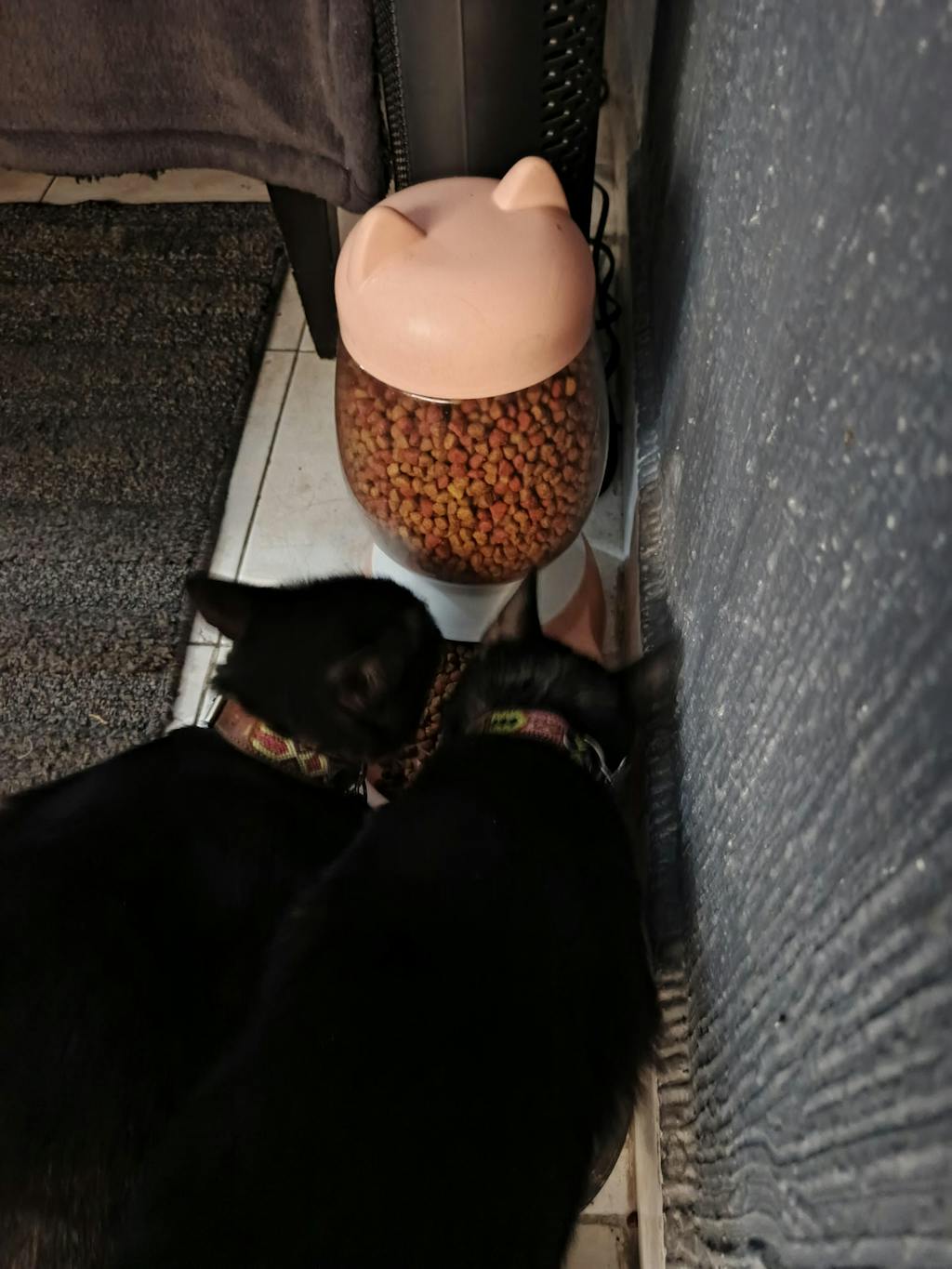 Croquetas Mixi l Proan PetFood – PetProan