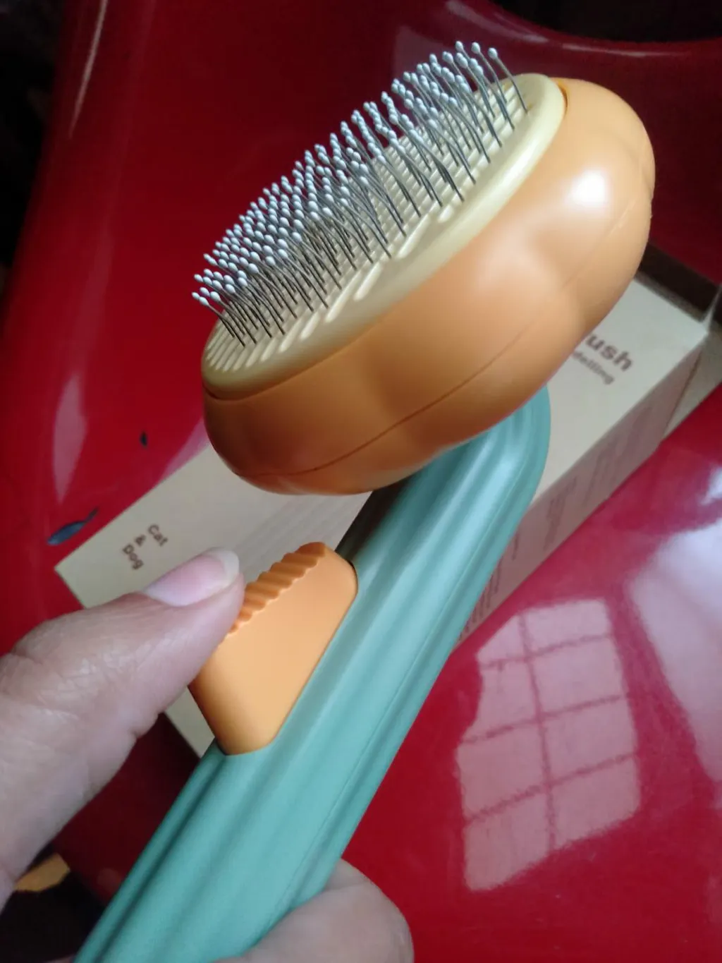 PumpKin Pie Self-Cleaning Brush - Pets Park PK – PetsPark.pk