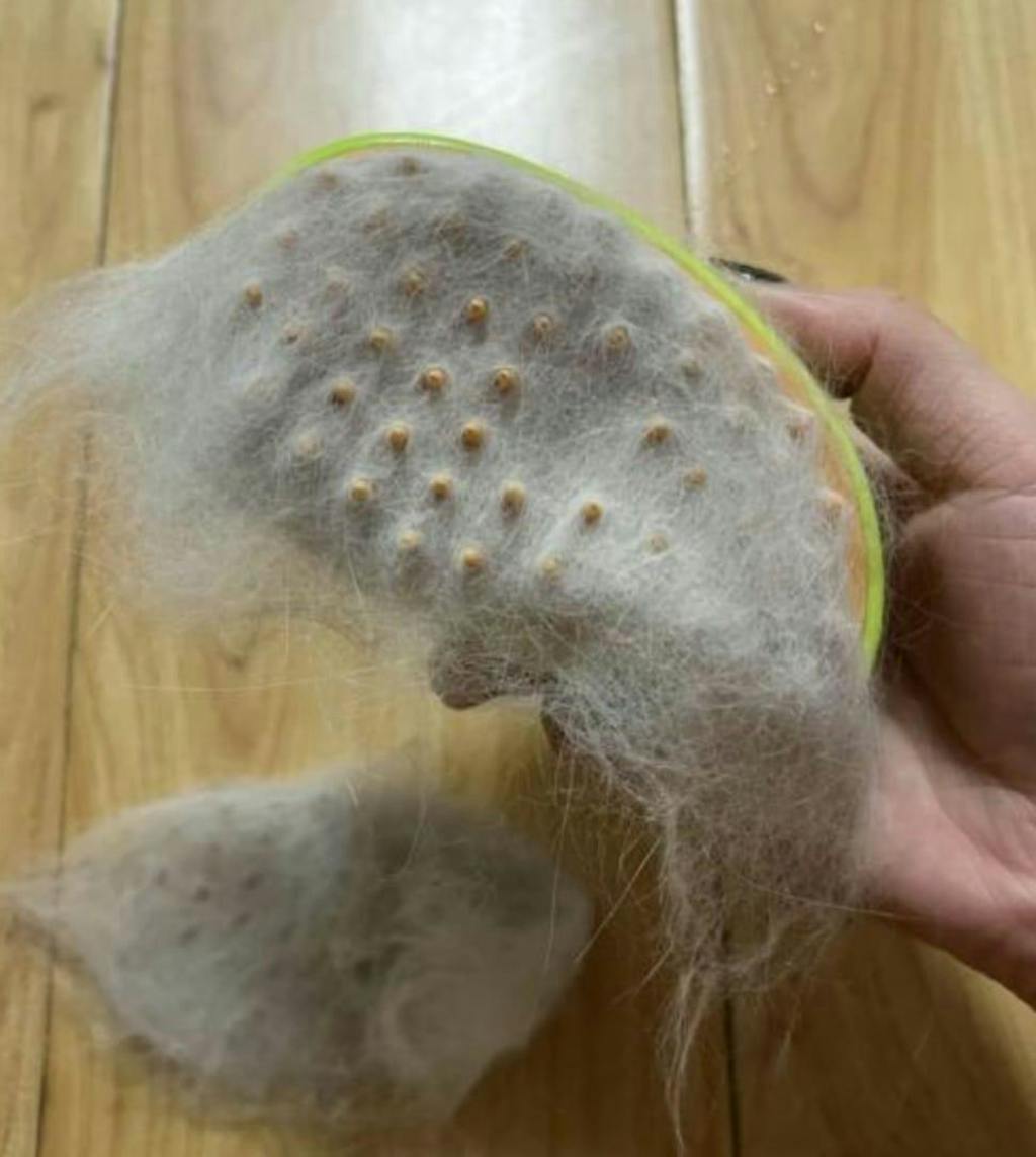 Petsay FurMist Brush - Ultimate Pet Hair Brush