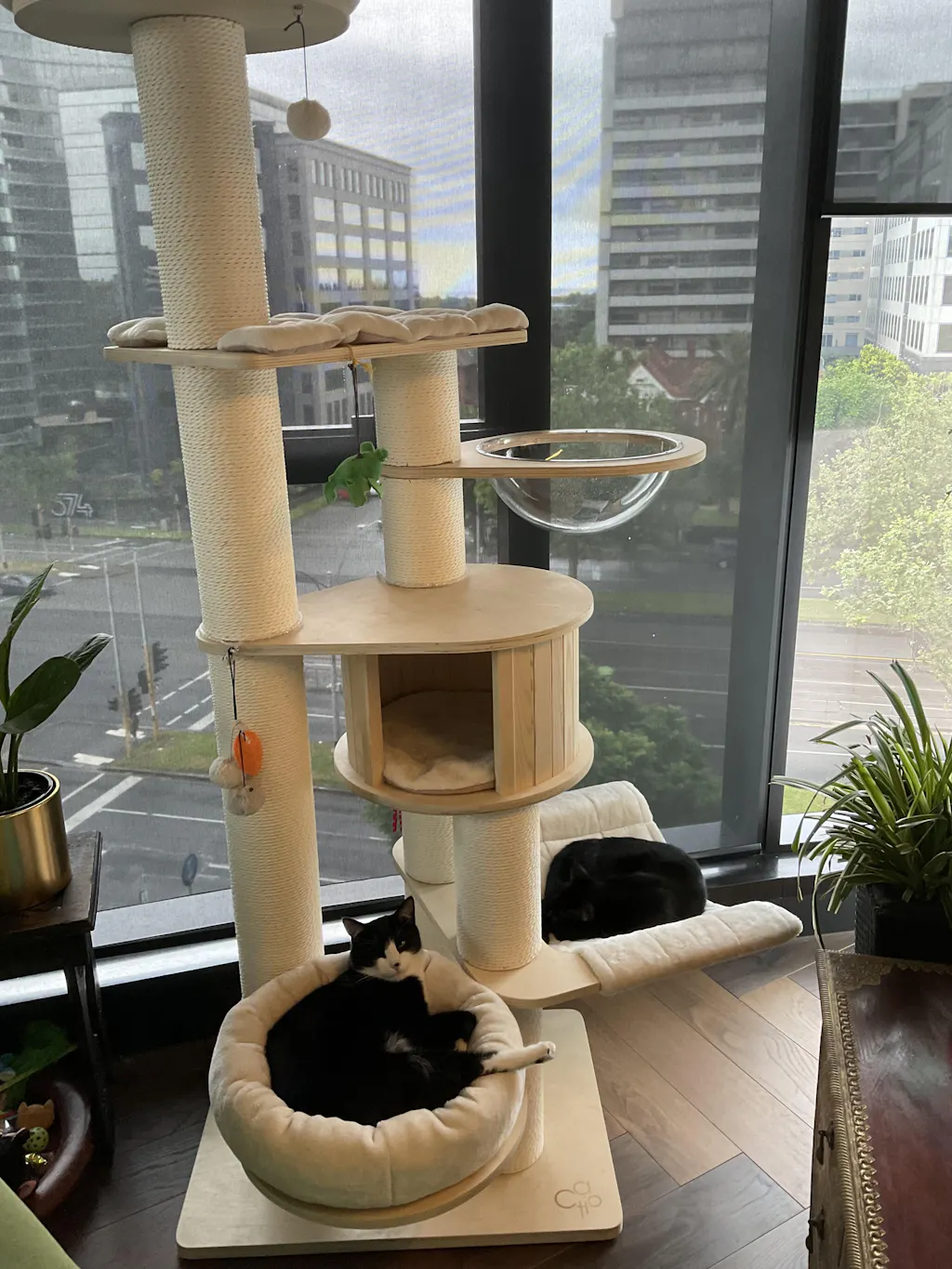 CATIO Solid Wood Climbing Post Scratcher Cat Tree 198cm | Petso Au