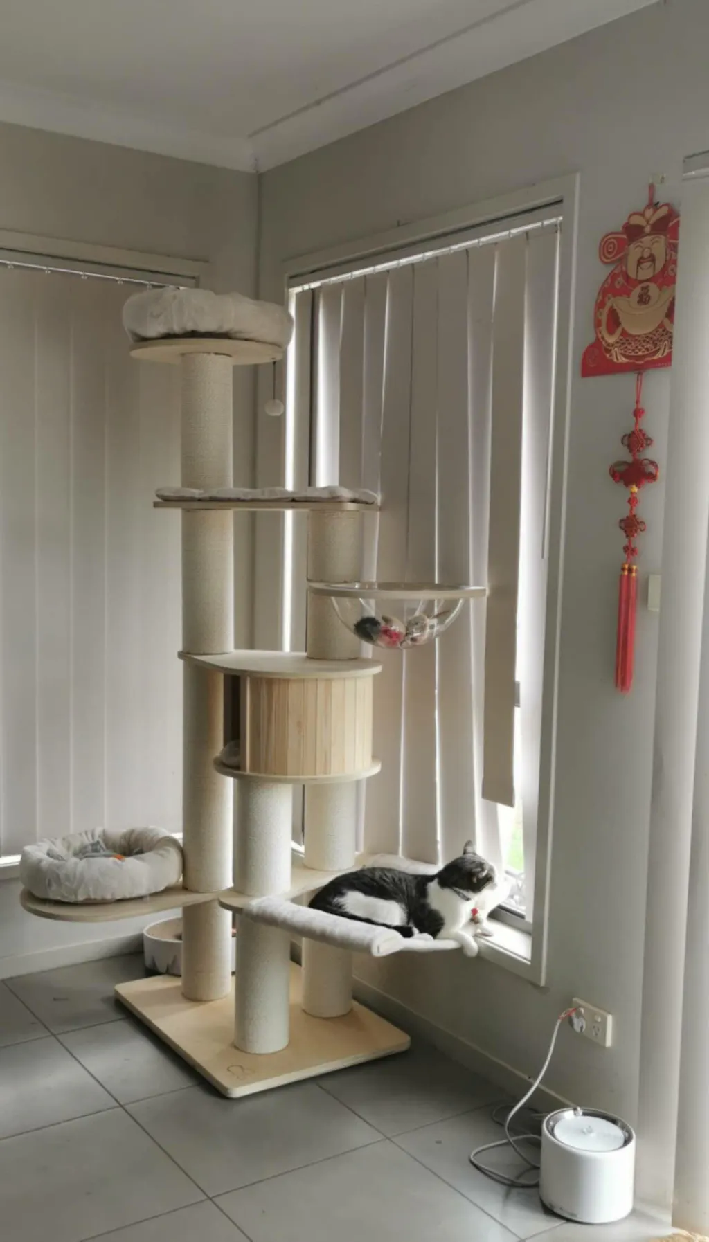 CATIO Solid Wood Climbing Post Scratcher Cat Tree 198cm | Petso Au