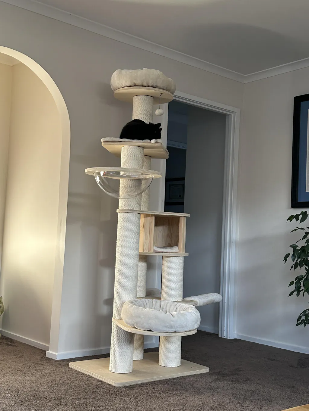 CATIO Solid Wood Climbing Post Scratcher Cat Tree 198cm | Petso Au