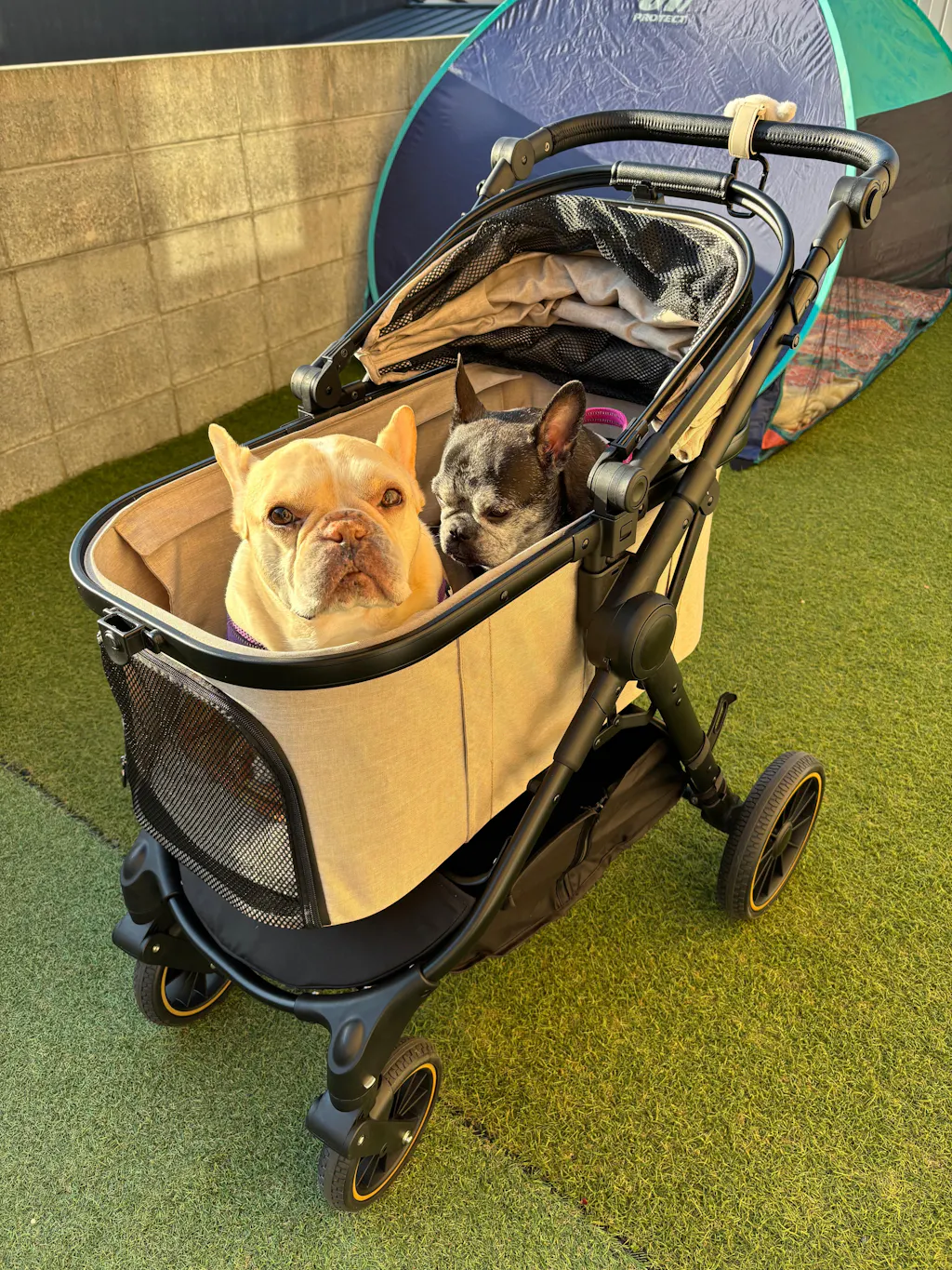 【中型犬・多頭飼い向け】TERRAペットカート｜最軽量10kg・広々コット・折りたたみ自立式｜PETTENA公式